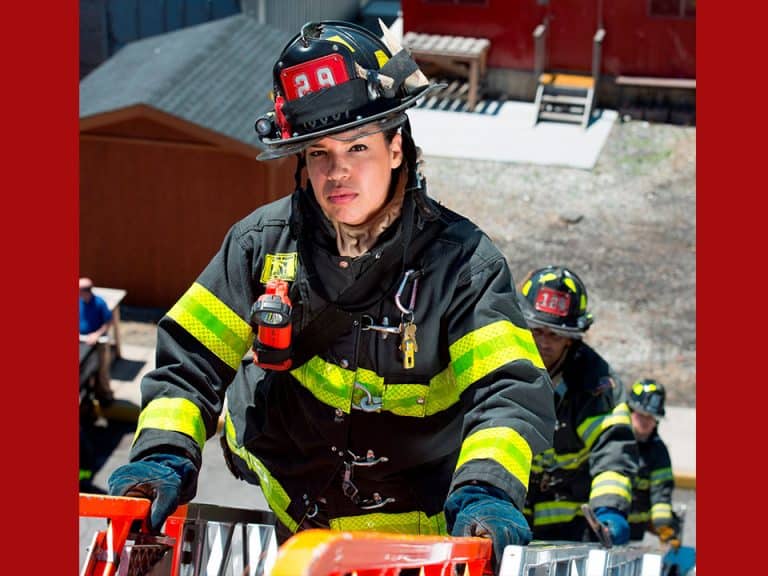FDNY Members Celebrate Carnival 2018 - JoinFDNY